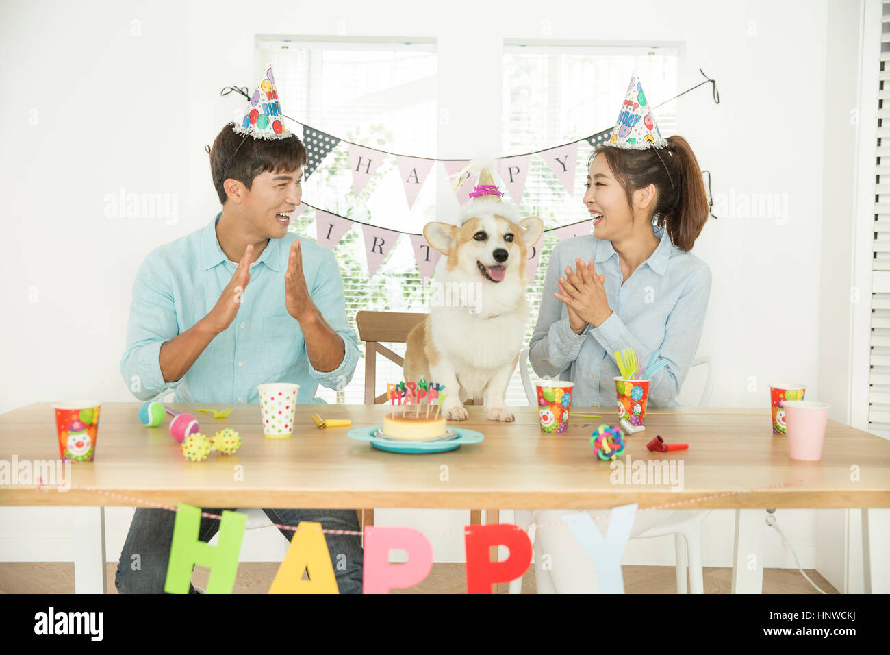 Smiling couple having party with pet Stock Photo - Alamy