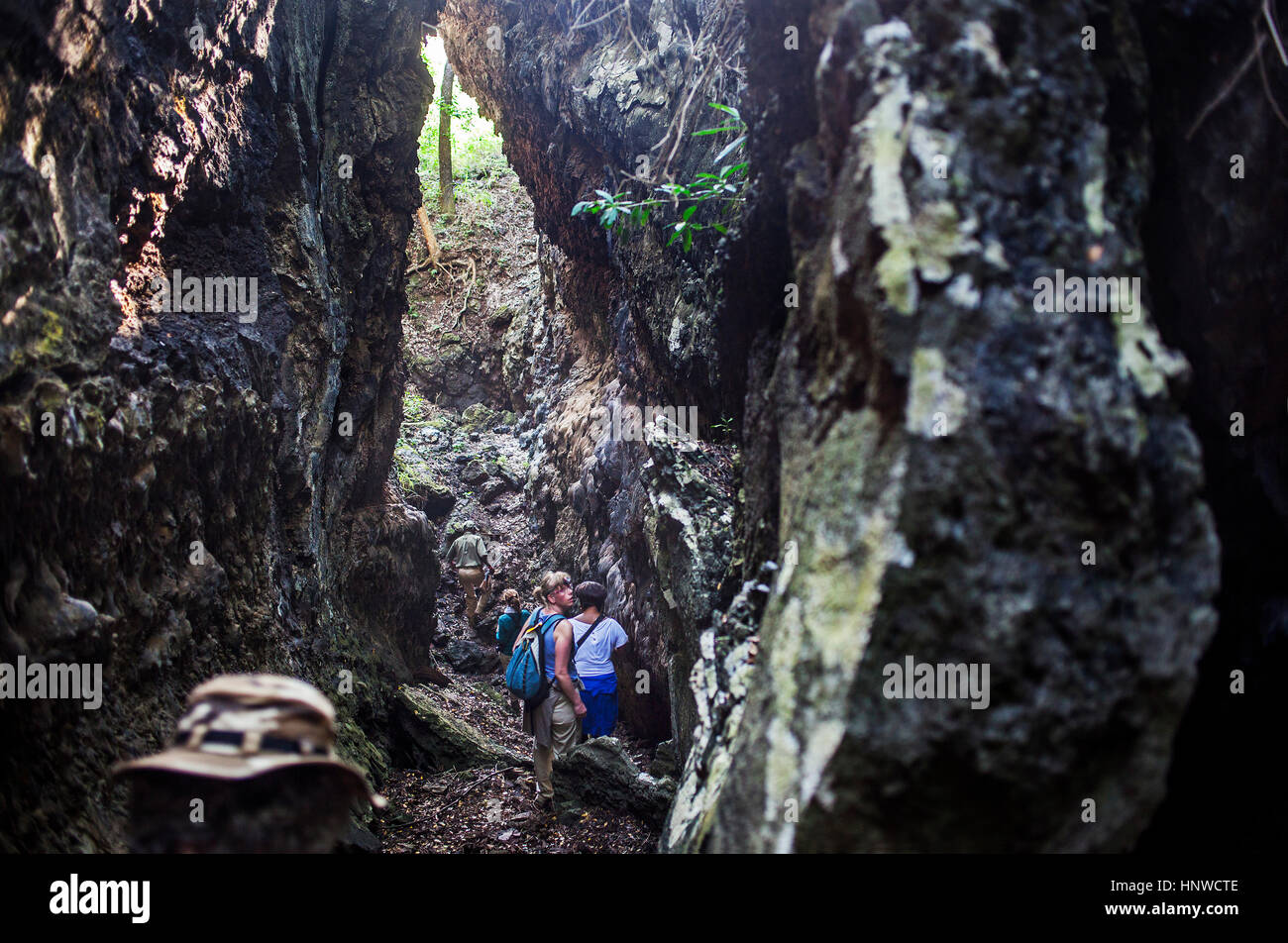 Walking through the lava tubes,volcanic modeling, Chyulu Hills National ...