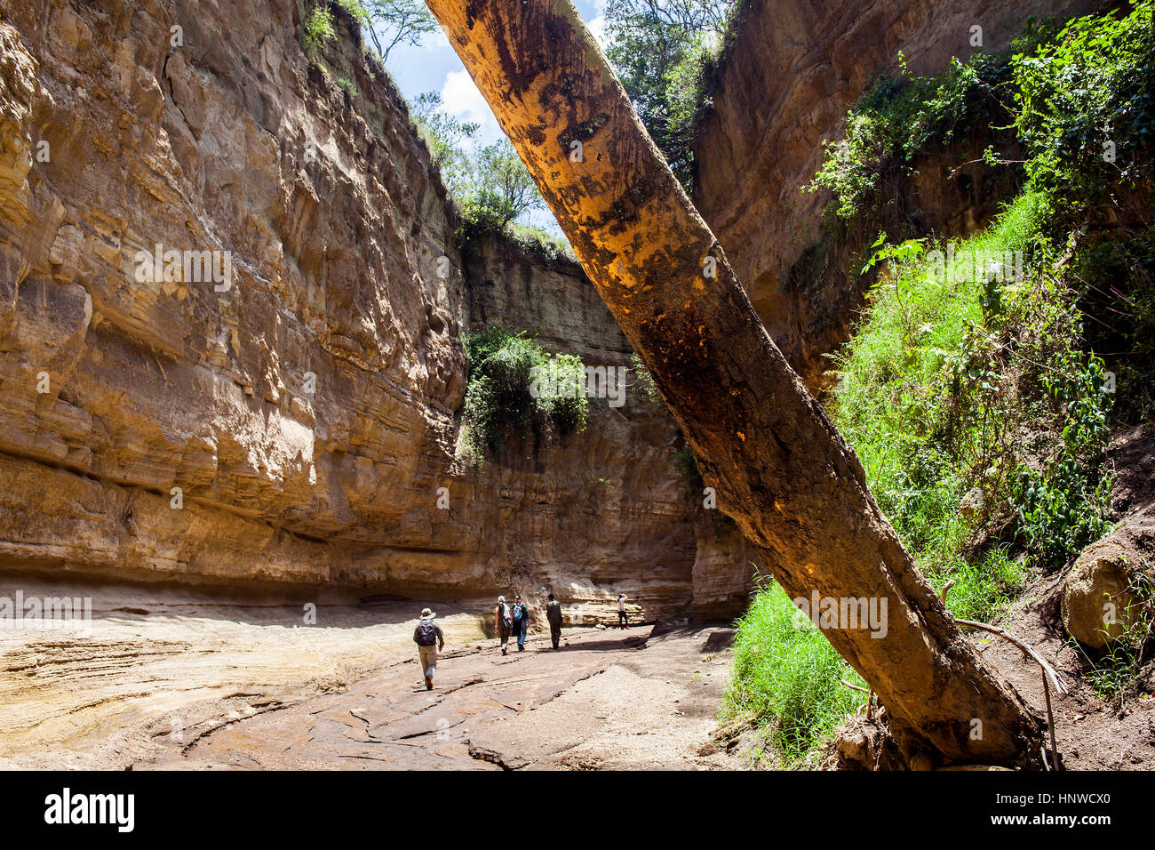 Hikers in the gorge, Hells Gate National Park in Kenya Stock Photo - Alamy