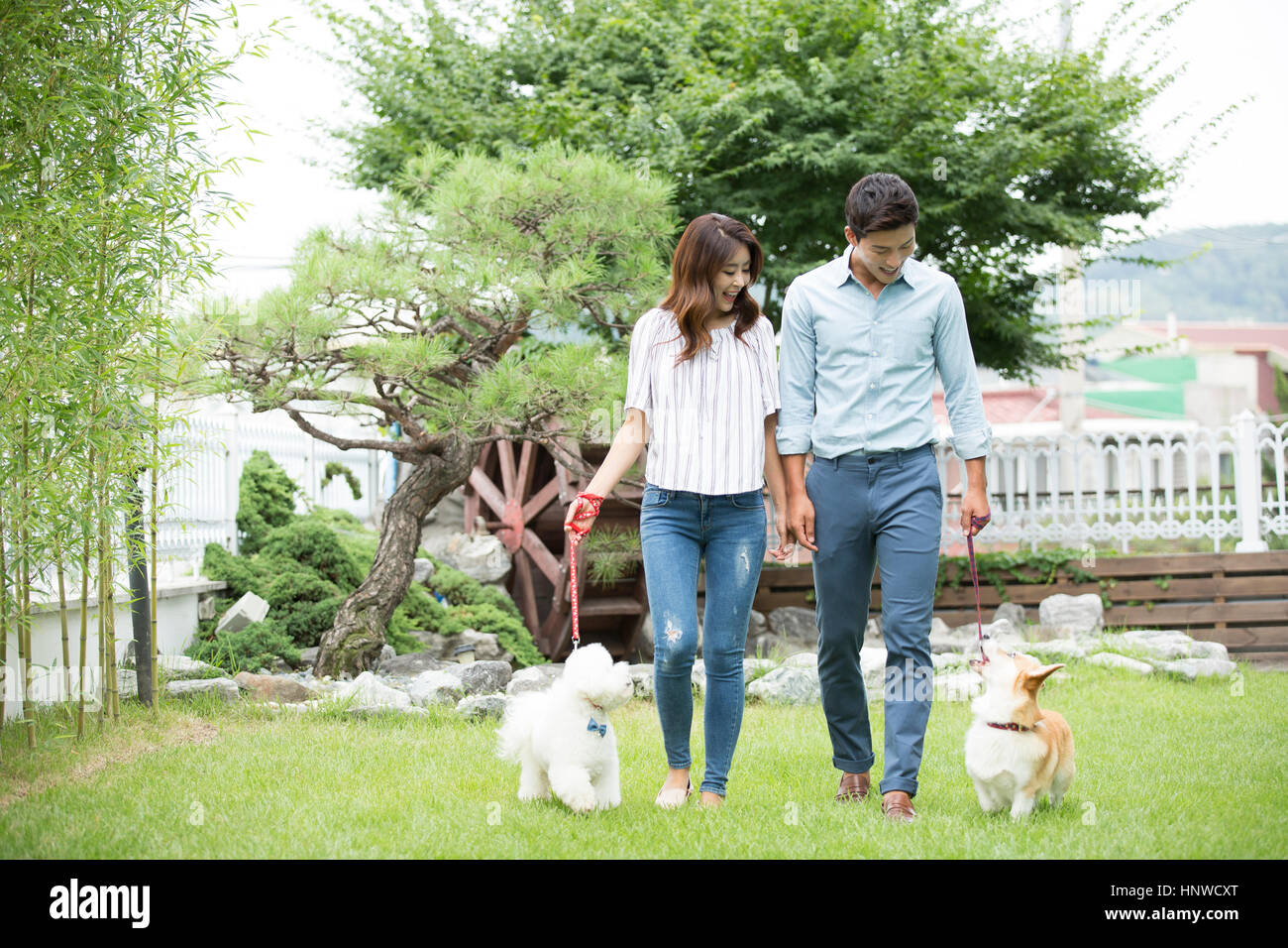 Young couple walking pet hi-res stock photography and images - Alamy