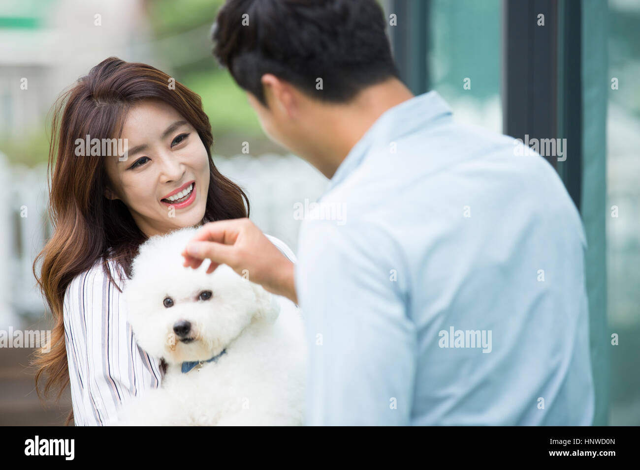 Couple pet dog hi-res stock photography and images - Alamy