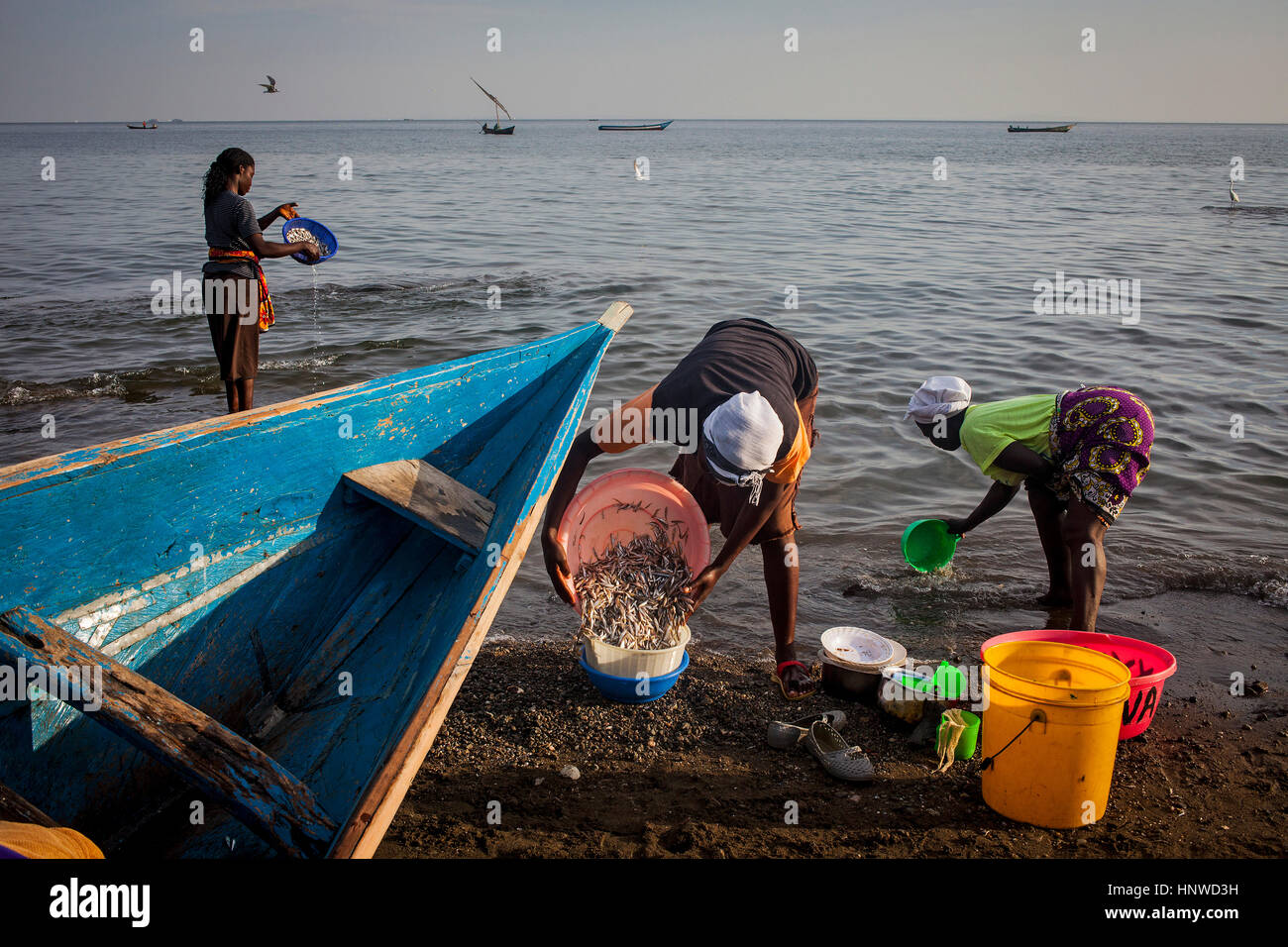 Women washing fish and kitchen tools , Port, the fishing village of ...