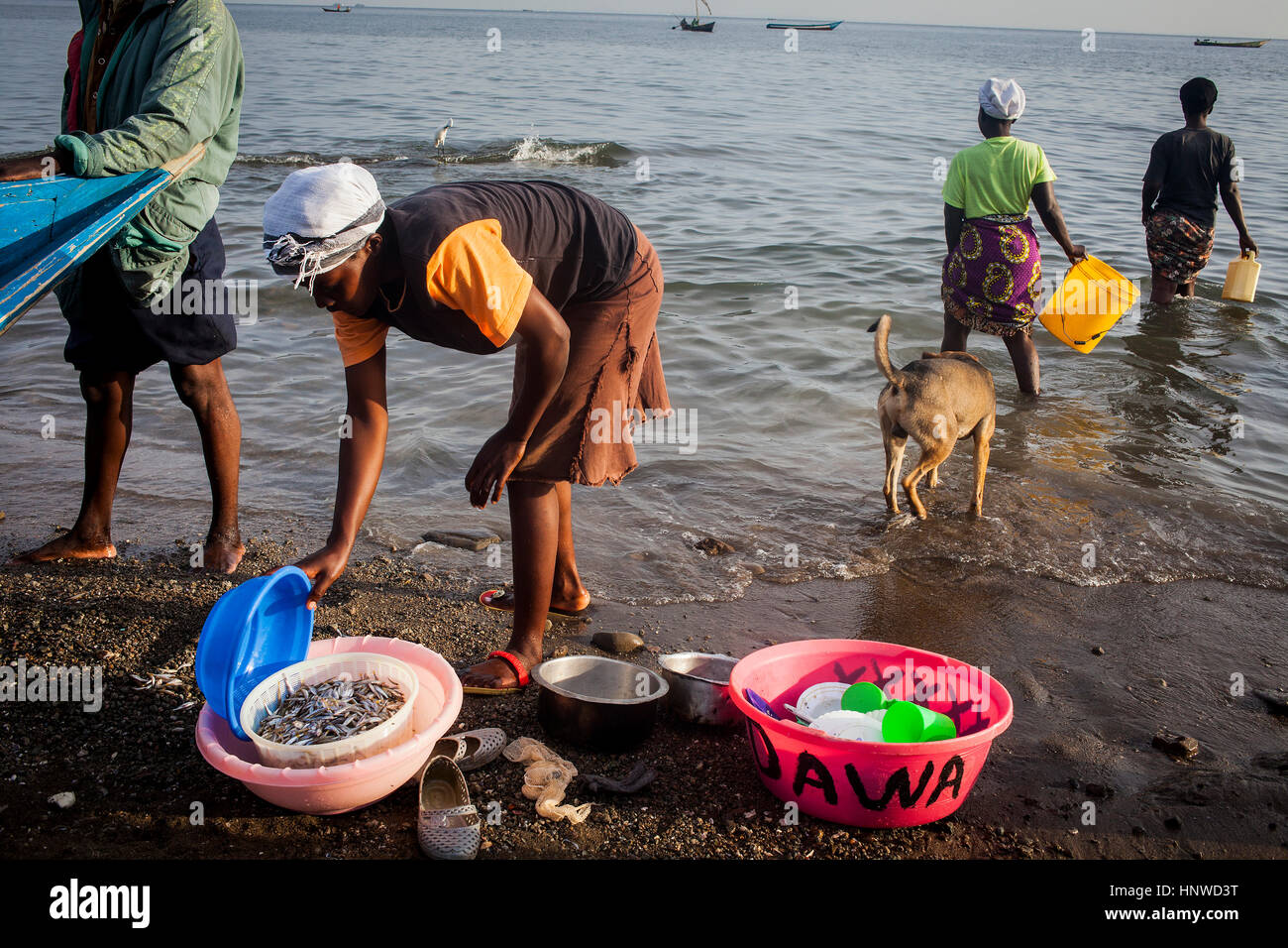 Women washing fish and kitchen tools , Port, the fishing village of ...