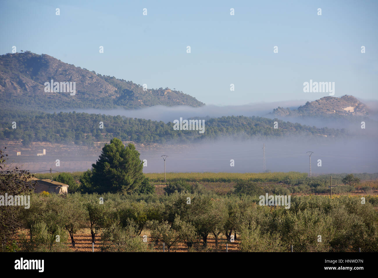Pinoso hi-res stock photography and images - Alamy