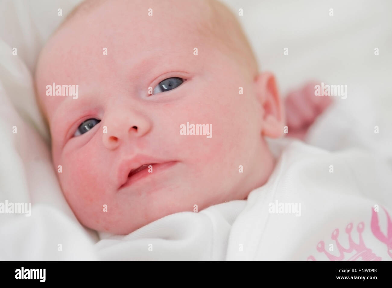 Model release, Babyportrait, 2 Wochen - baby, 2 weeks old Stock Photo ...