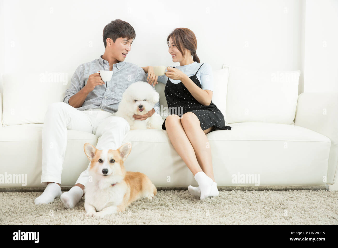 Harmonious couple with pet dogs Stock Photo - Alamy