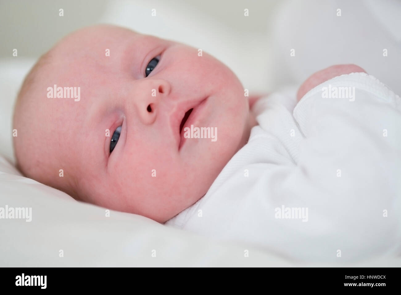 Model release, Baby, 2 Wochen - baby, 2 weeks old Stock Photo - Alamy