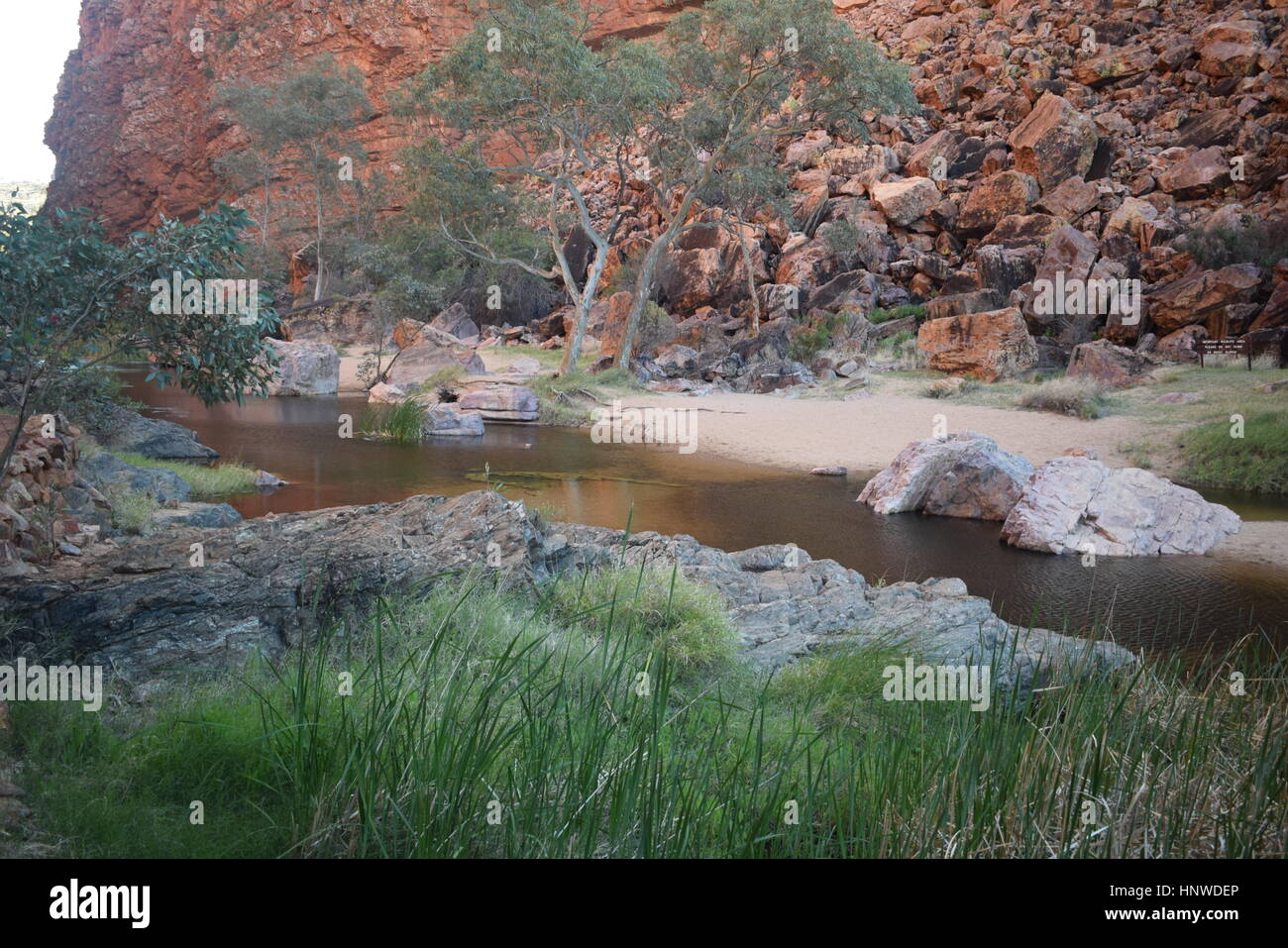 Back to the bush Stock Photo - Alamy