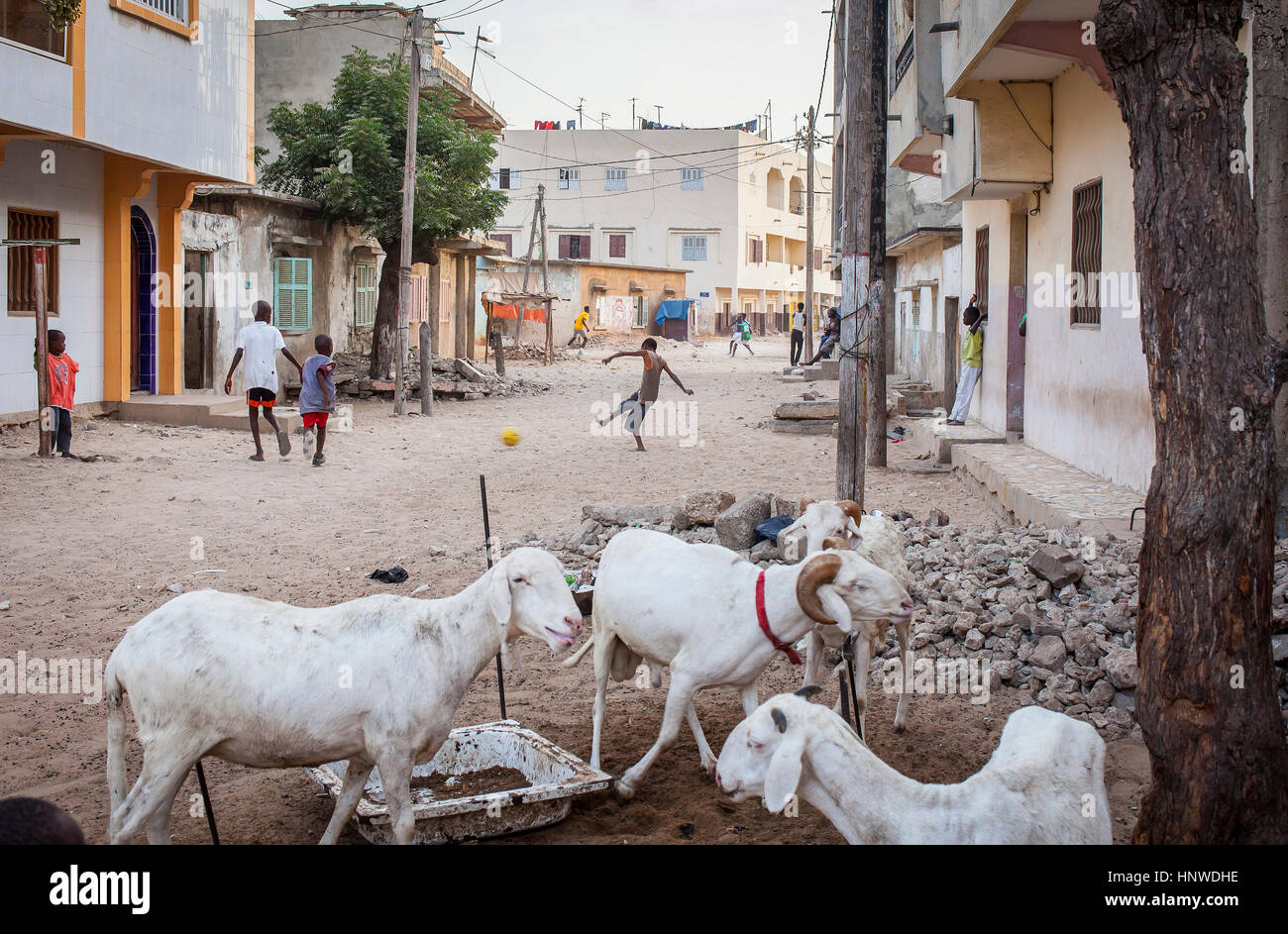 Street scene, medina quarter, Dakar, Senegal Stock Photo - Alamy