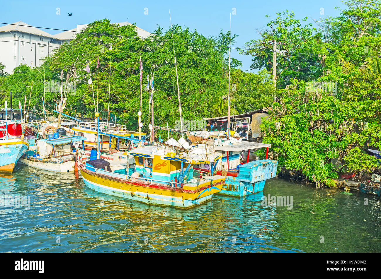 The fishing industry is the main occupation of people in Negombo, so ...