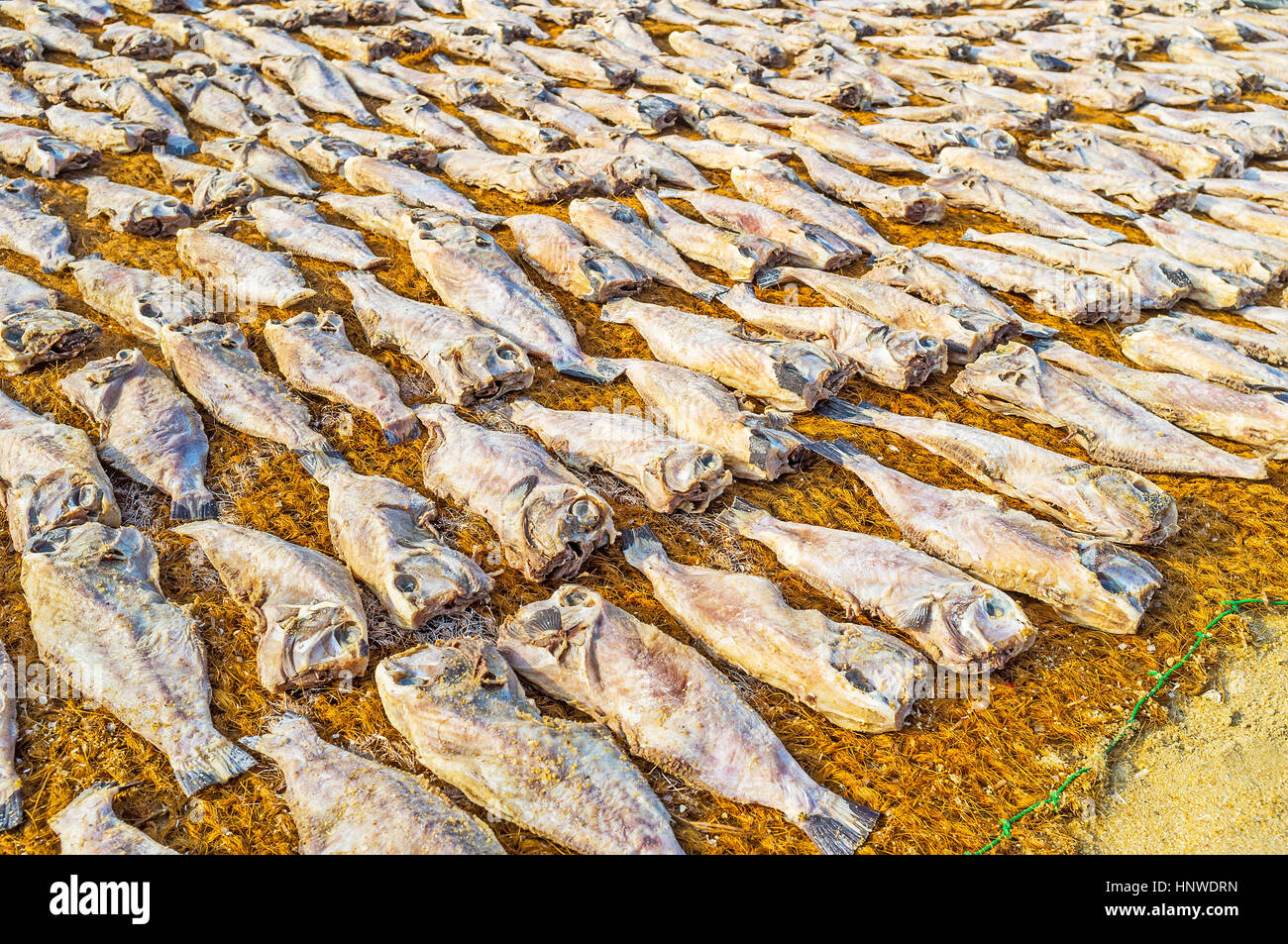 Maldive fish dry hi-res stock photography and images - Alamy