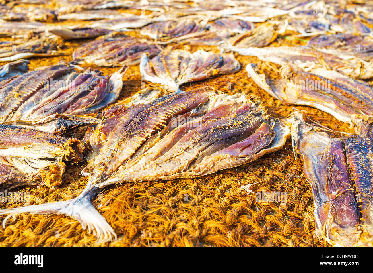 Salt to preserve fish hi-res stock photography and images - Alamy