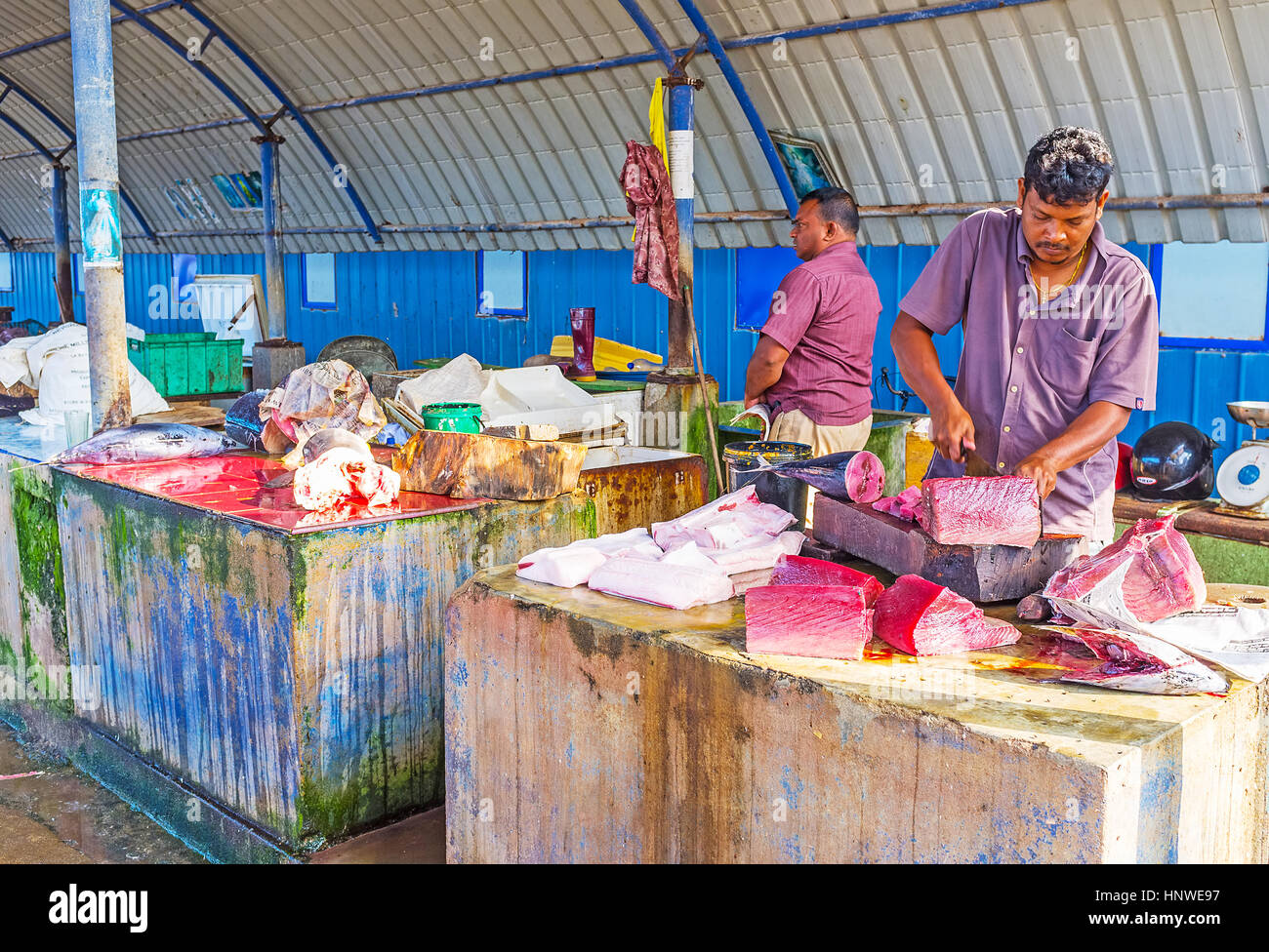 Fresh Fish Market In Negombo High Resolution Stock Photography and ...