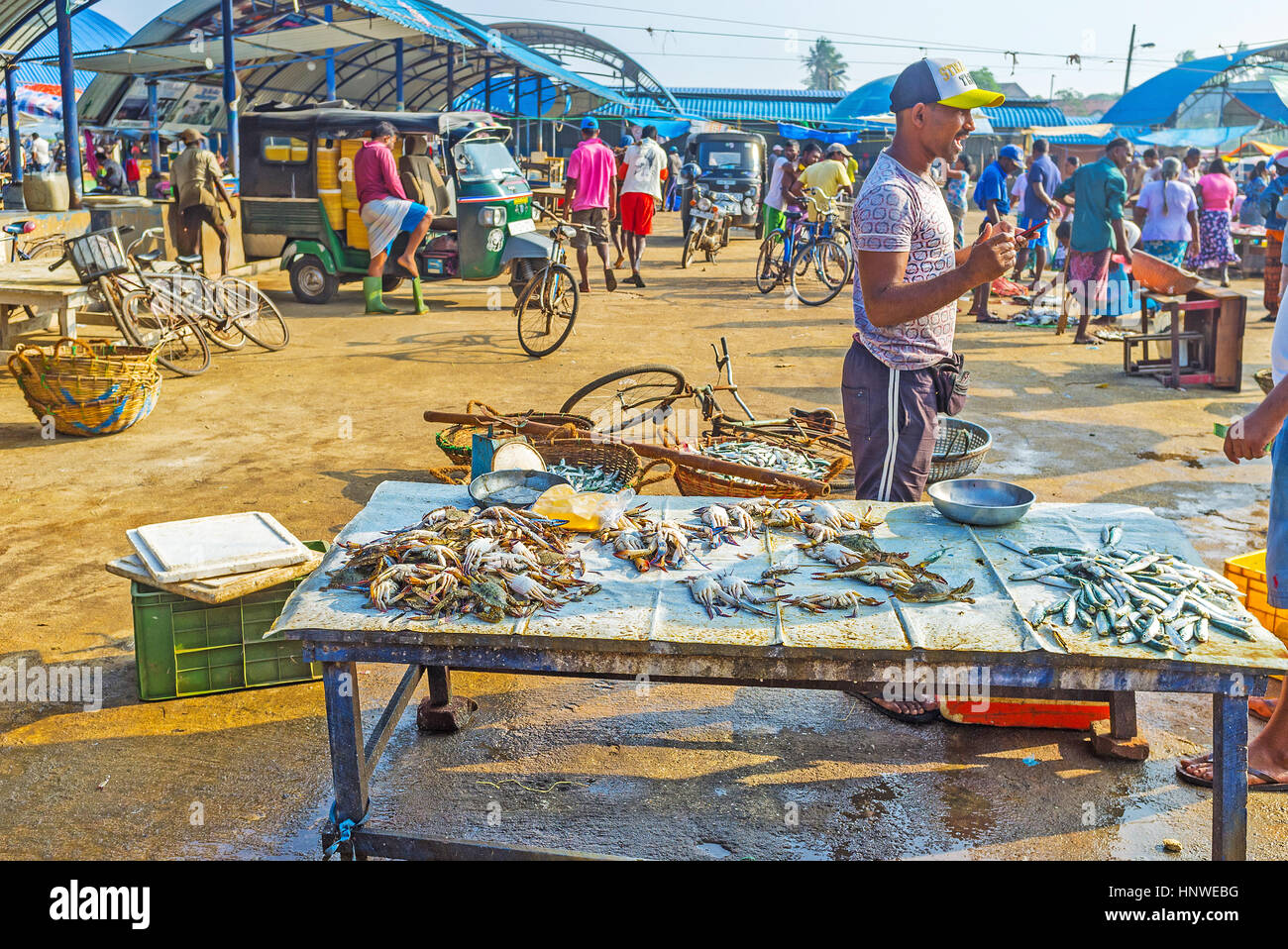 NEGOMBO, SRI LANKA - NOVEMBER 25, 2016: The tiny stall at the Main Fish ...