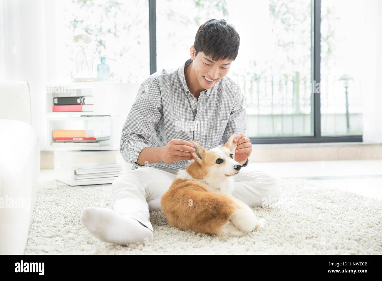Smiling man with pet dog Stock Photo - Alamy