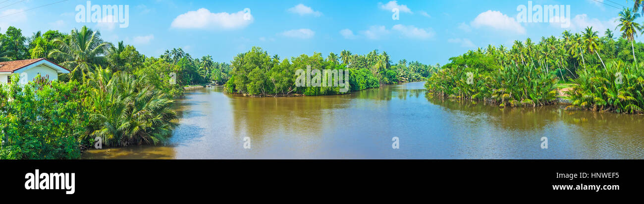 Reserve gin hi-res stock photography and images - Alamy