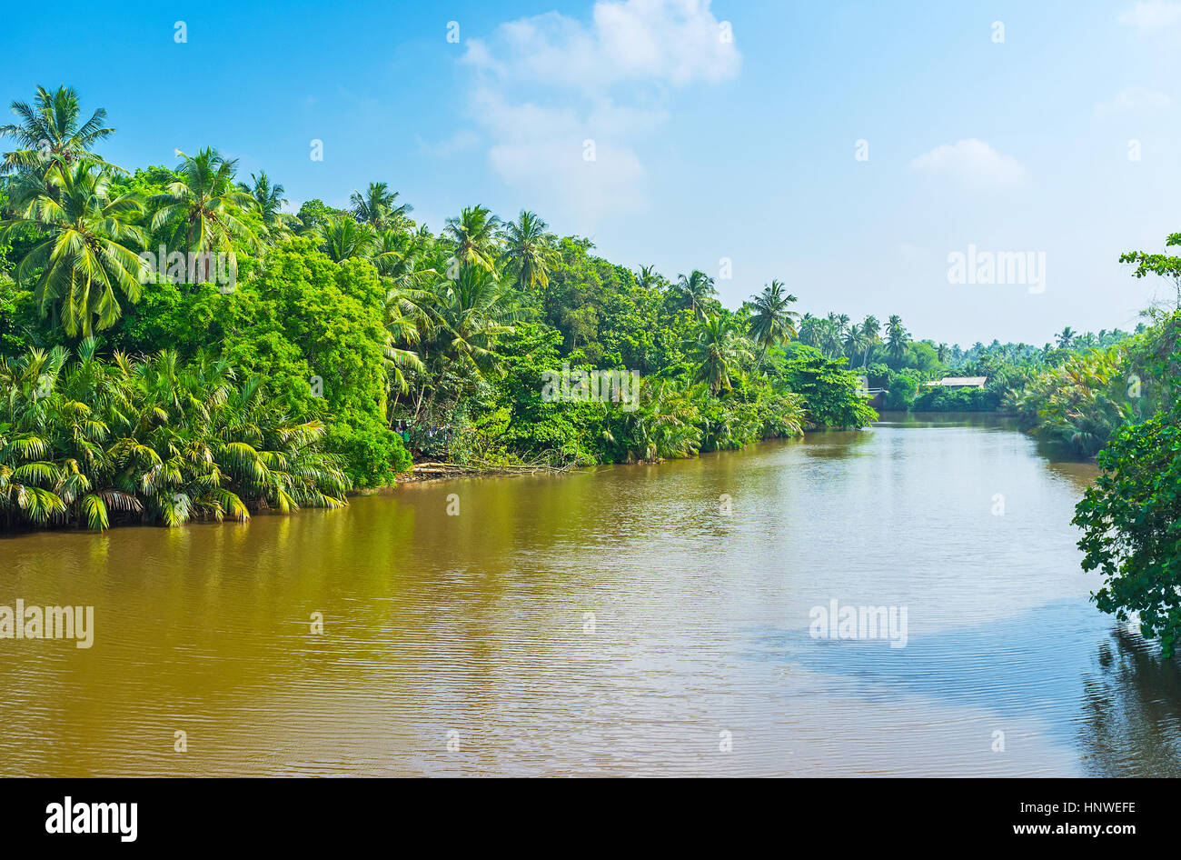 The resorts on Gin Oya river are the best choice for tourists, those ...