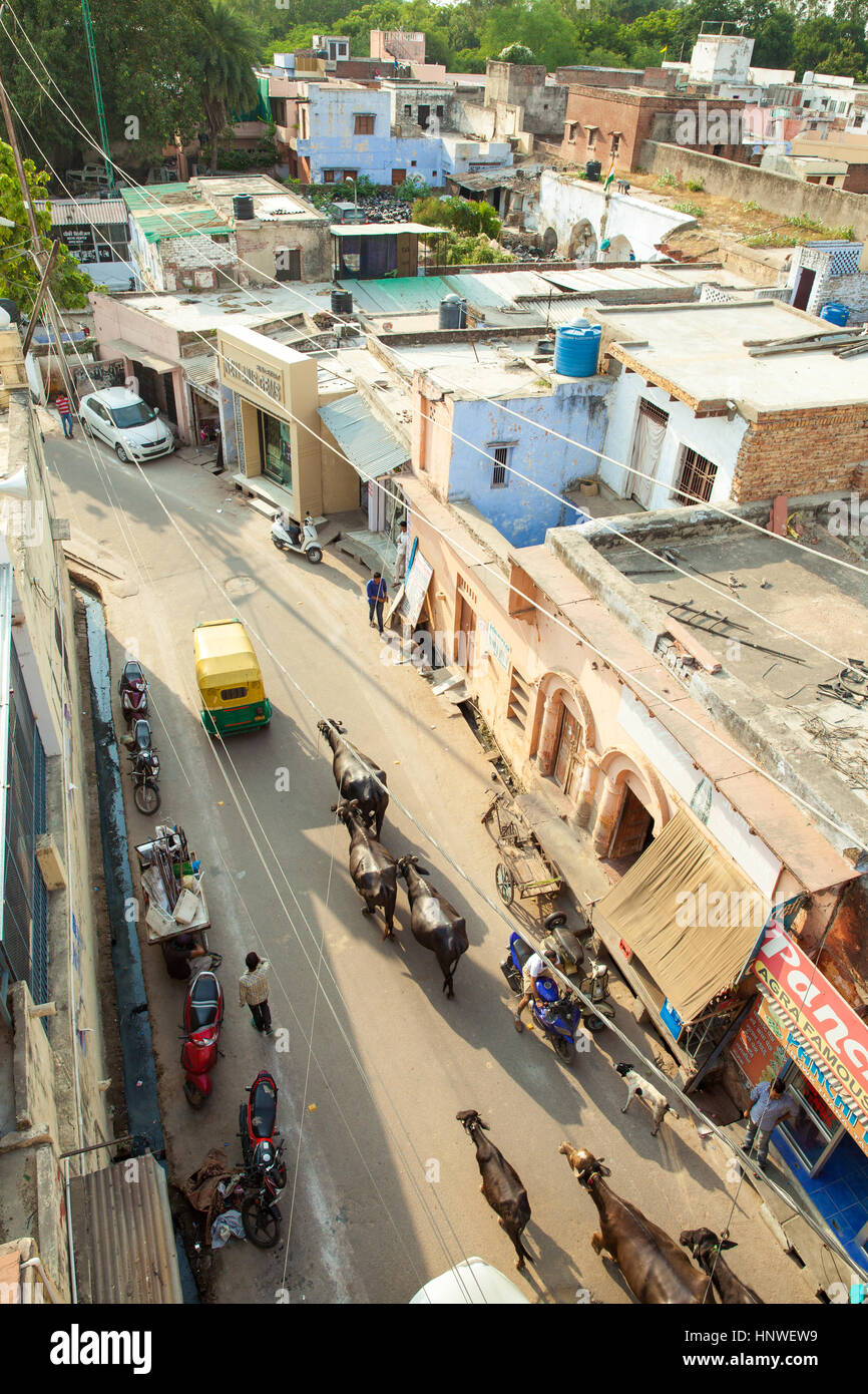 Slum roof hi-res stock photography and images - Alamy