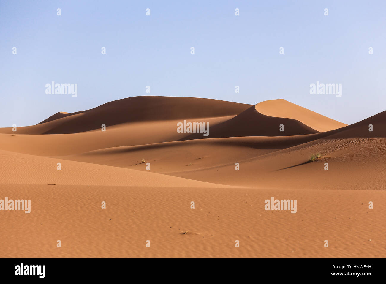 Landscape of Moroccan desert. Sahara on the border with Algeria Stock ...