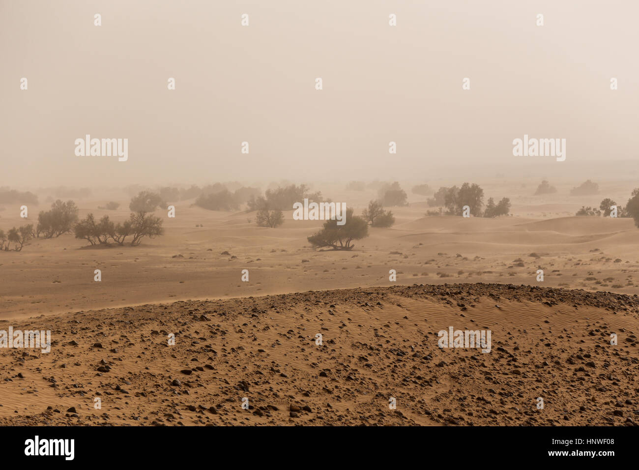 Landscape of Moroccan desert. Sahara on the border with Algeria Stock ...