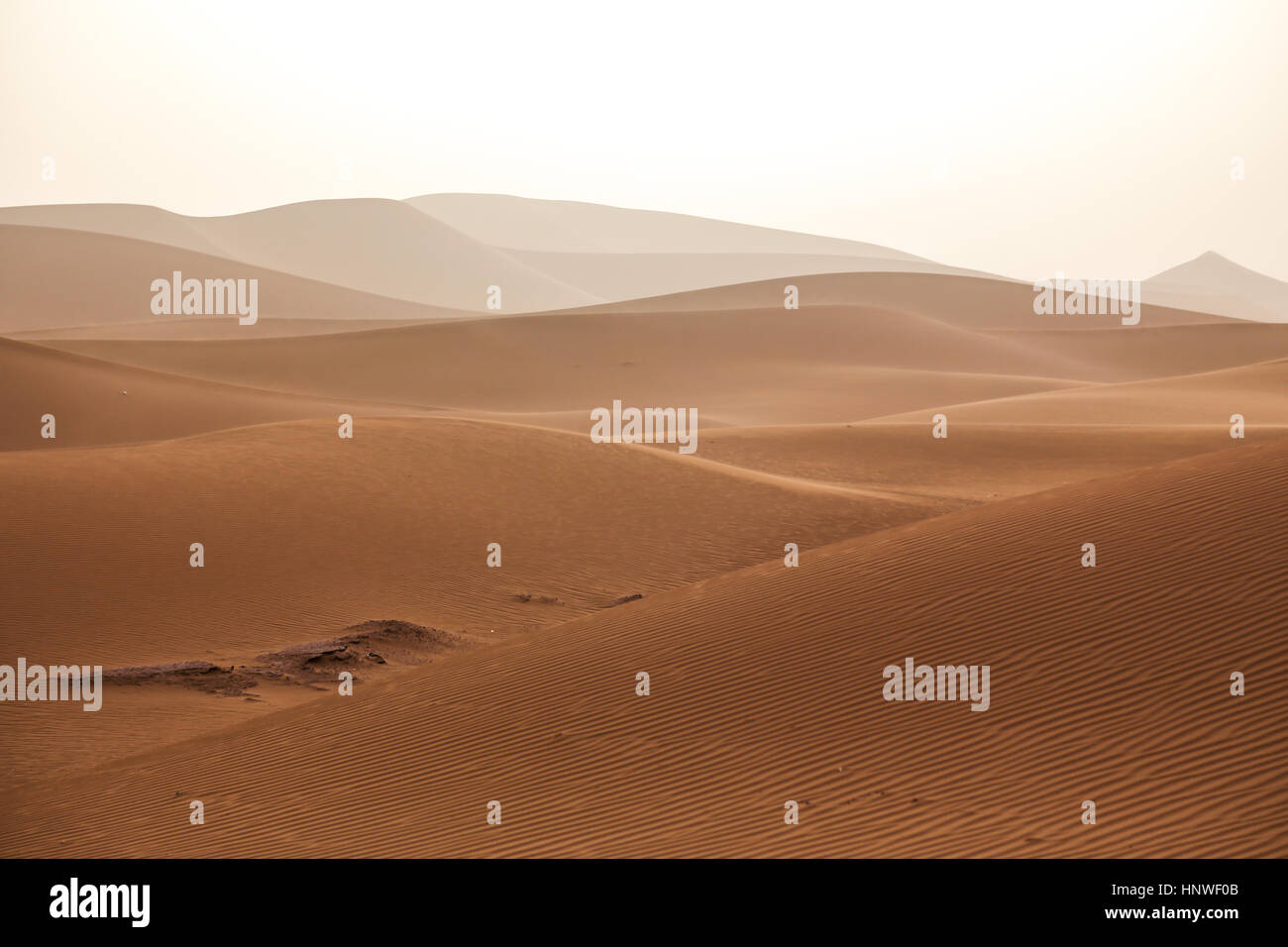 Landscape of Moroccan desert. Sahara on the border with Algeria Stock ...