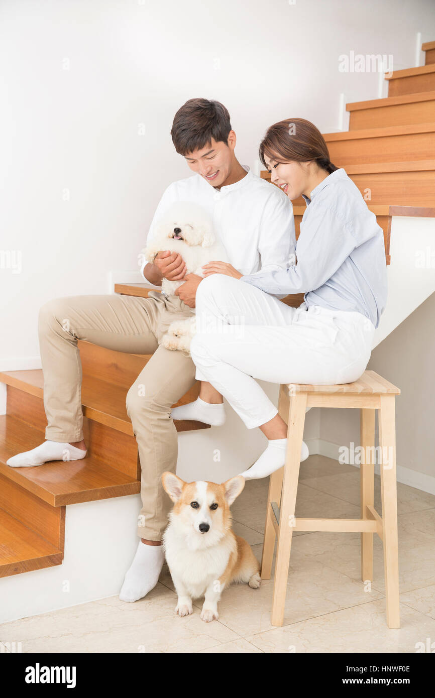 Smiling pets hi-res stock photography and images - Alamy