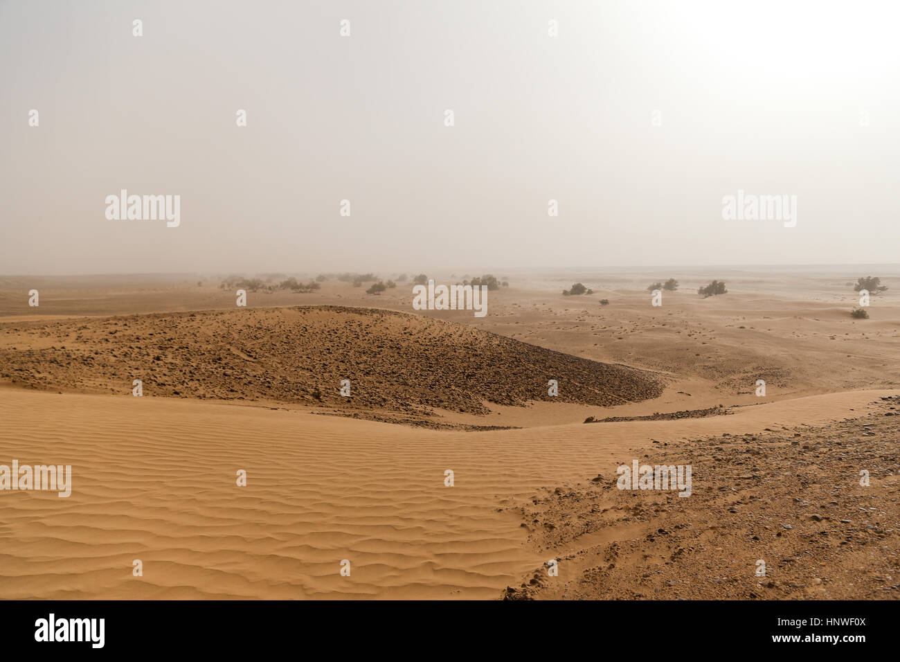 Landscape of Moroccan desert. Sahara on the border with Algeria Stock ...