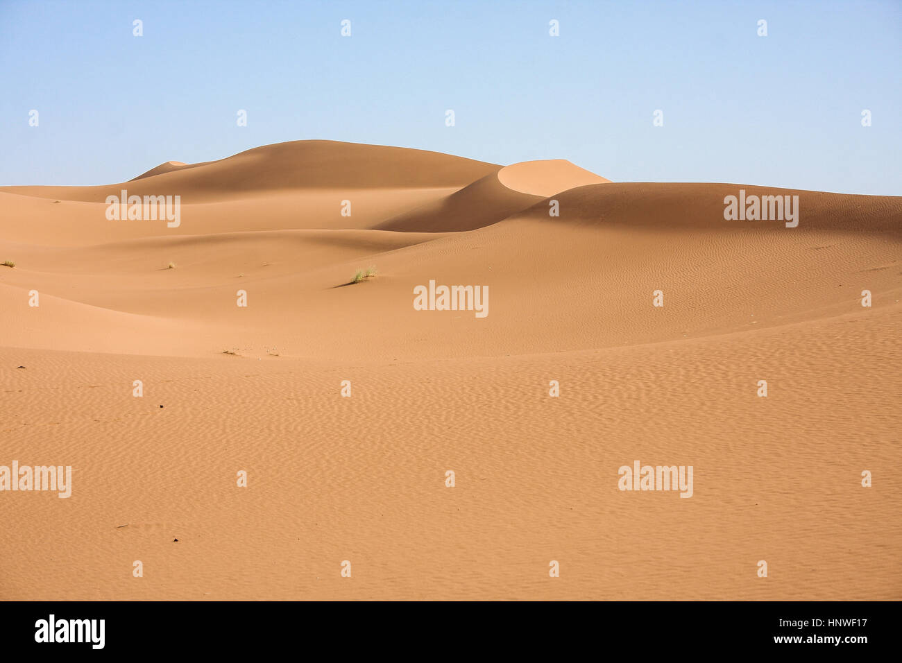 Landscape of Moroccan desert. Sahara on the border with Algeria Stock ...