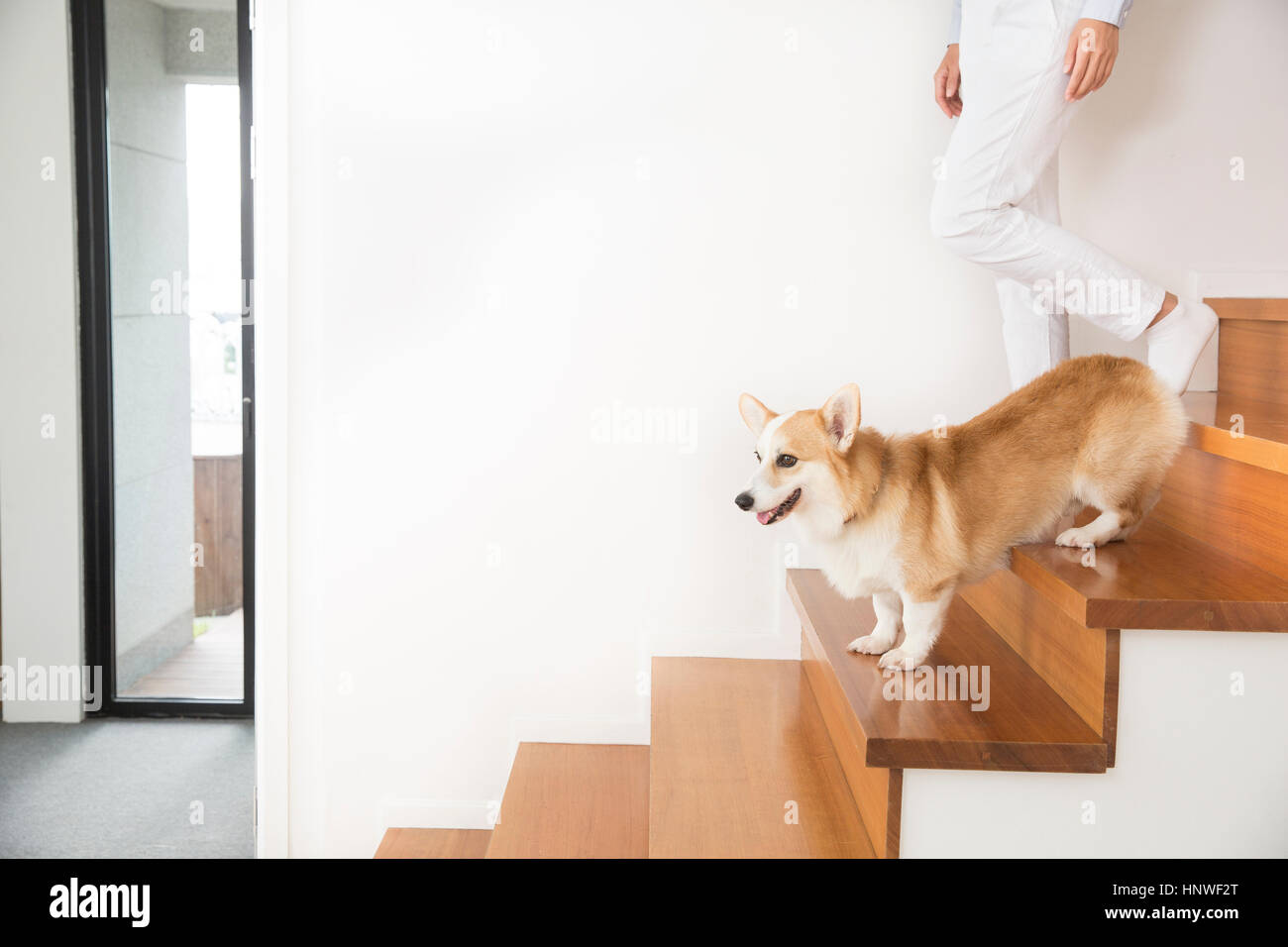 Only downstairs hi-res stock photography and images - Alamy