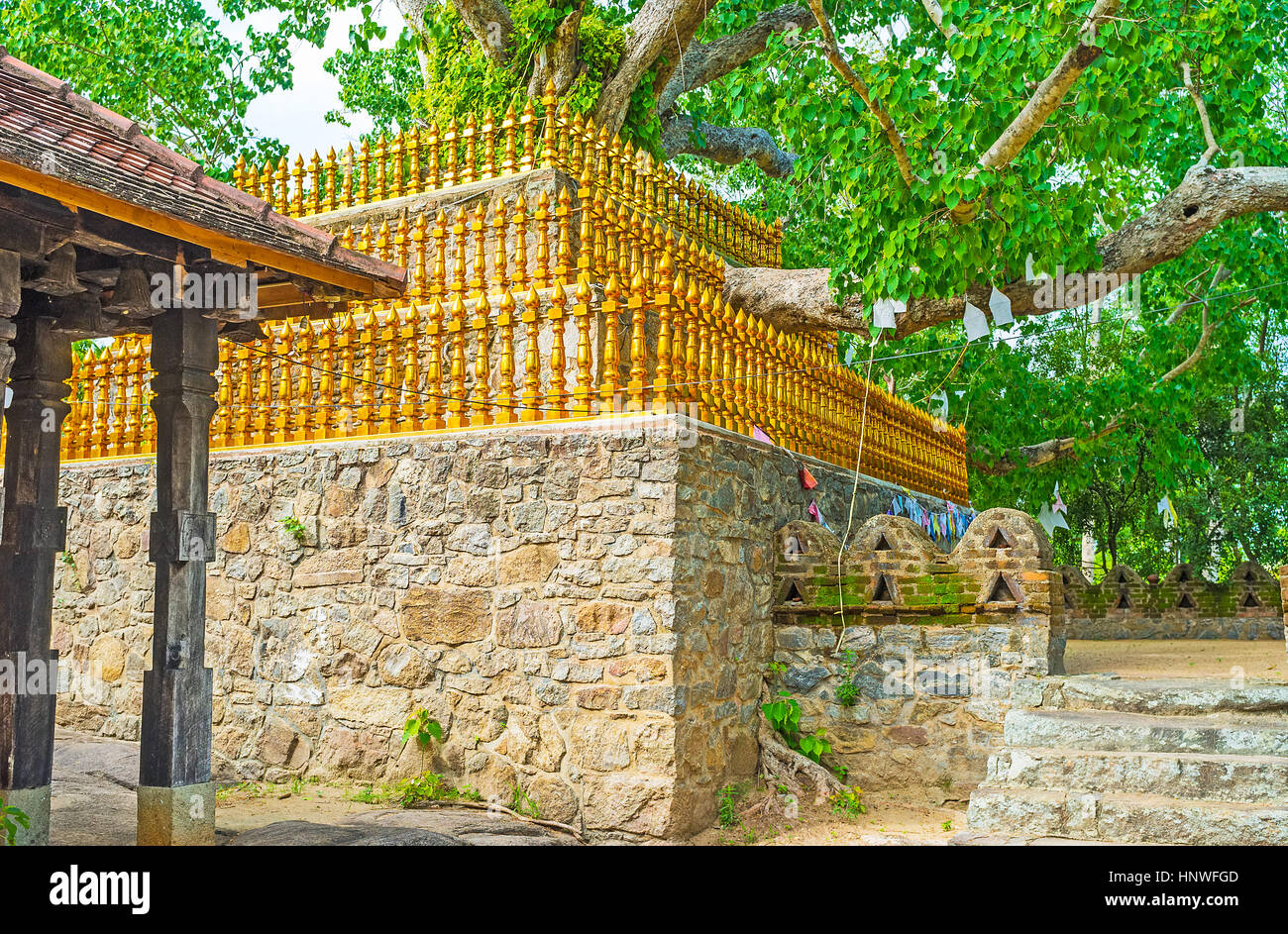 Bo Tree High Resolution Stock Photography and Images - Alamy