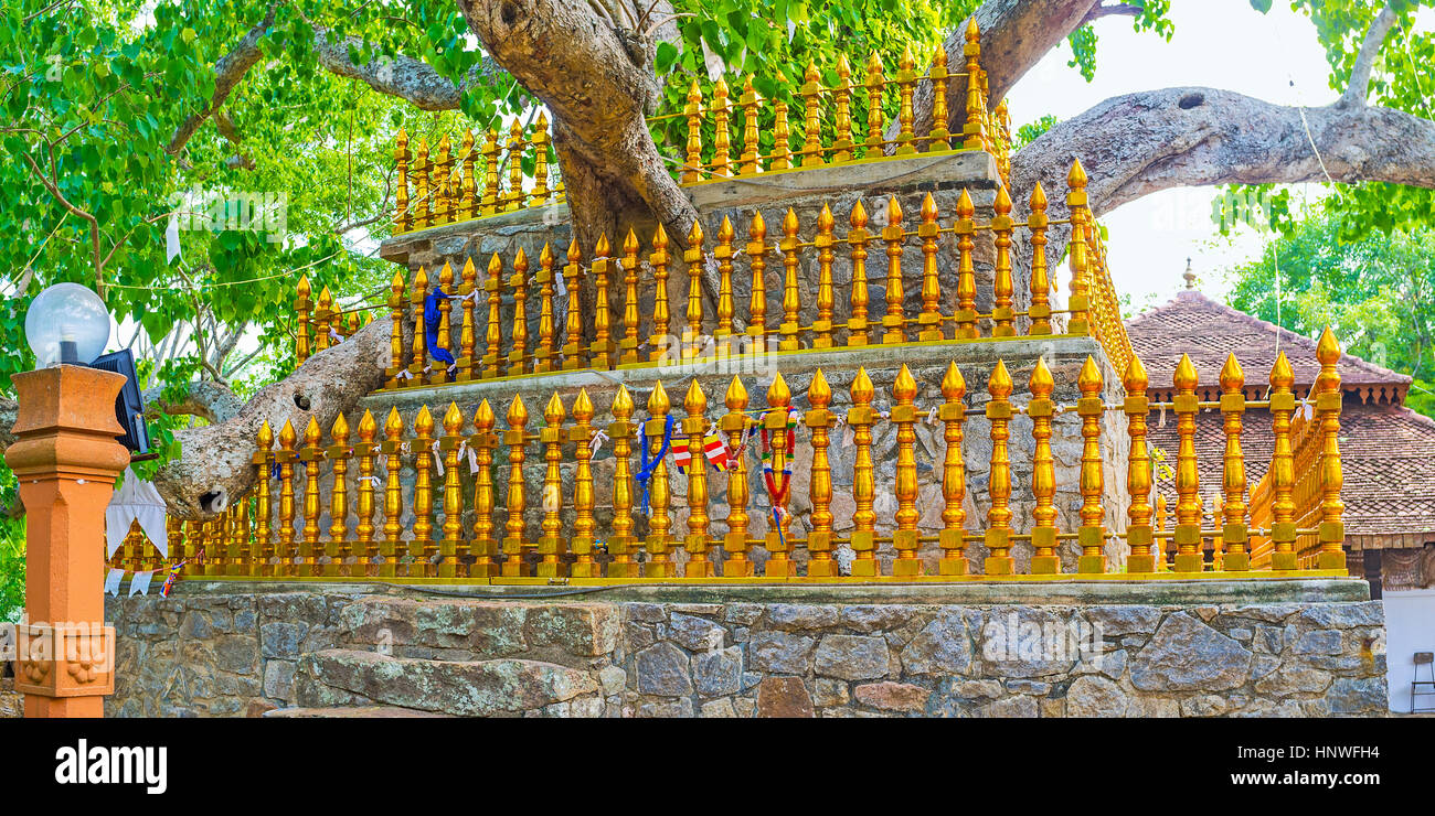 The Bodhi Tree is one of the basic elements of the Buddhist Temples ...
