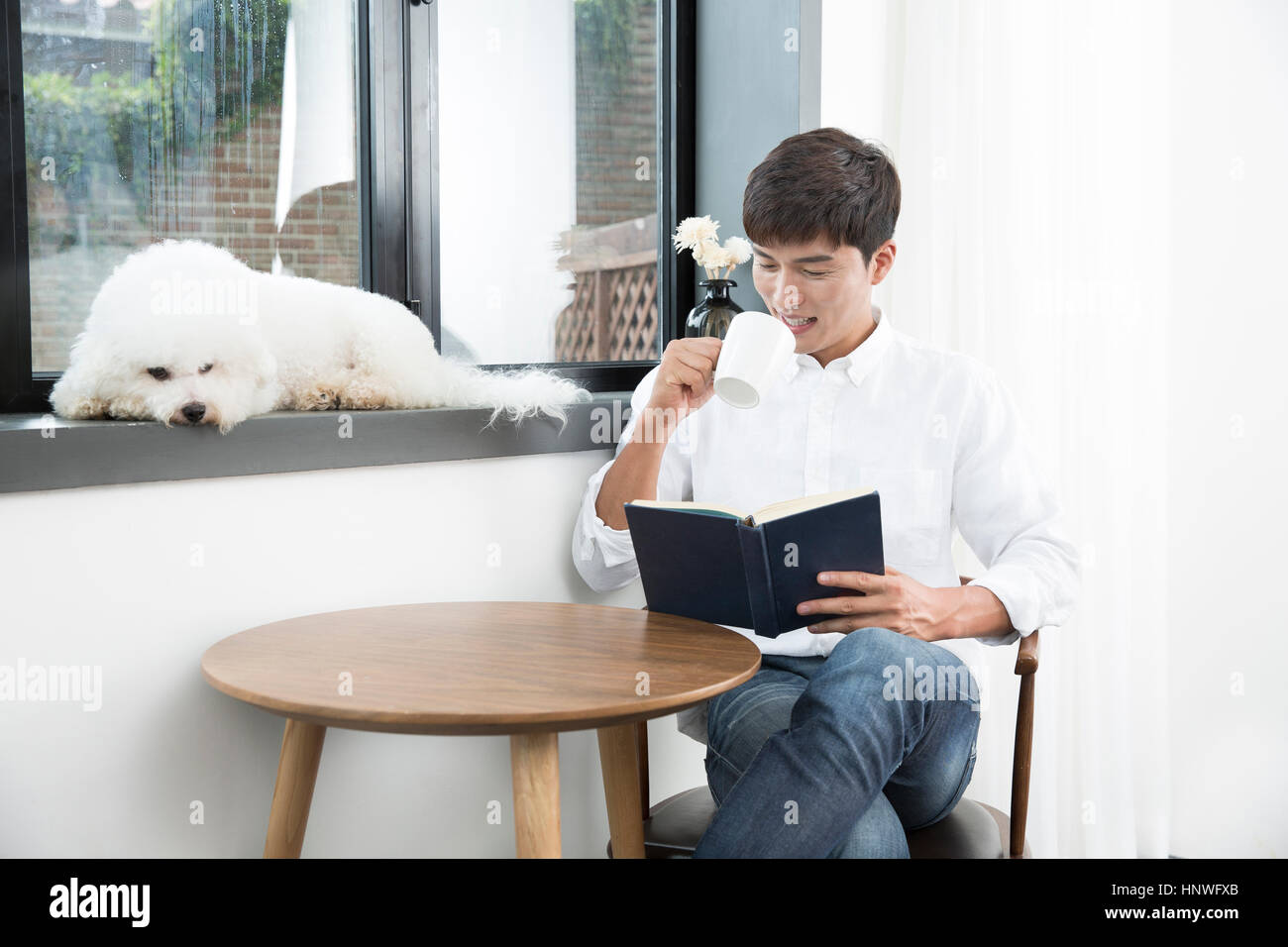 Dog man book hi-res stock photography and images - Alamy