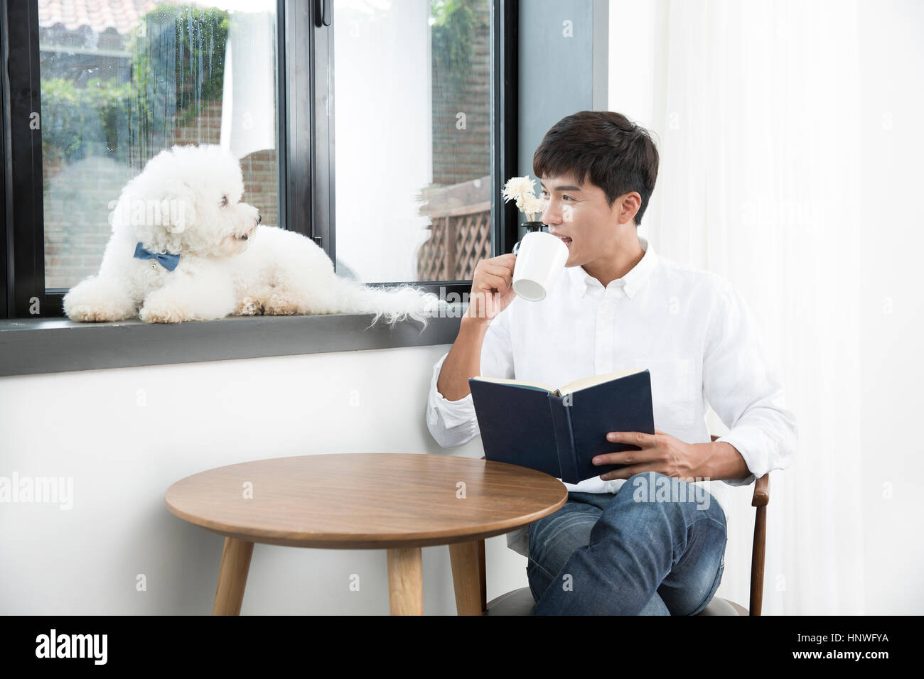 Dog man book hi-res stock photography and images - Alamy