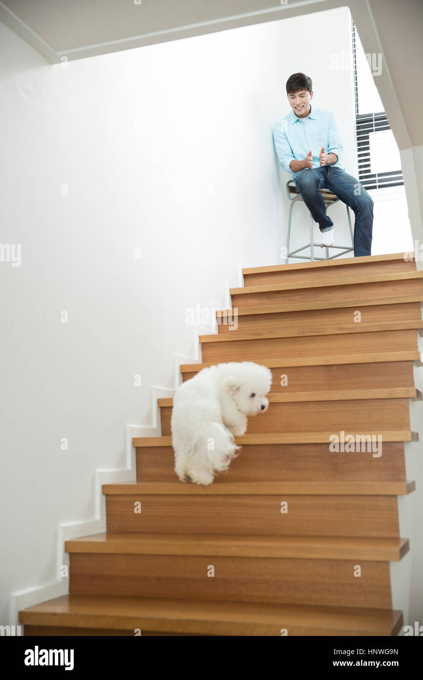 Smiling man calling his pet dog Stock Photo - Alamy