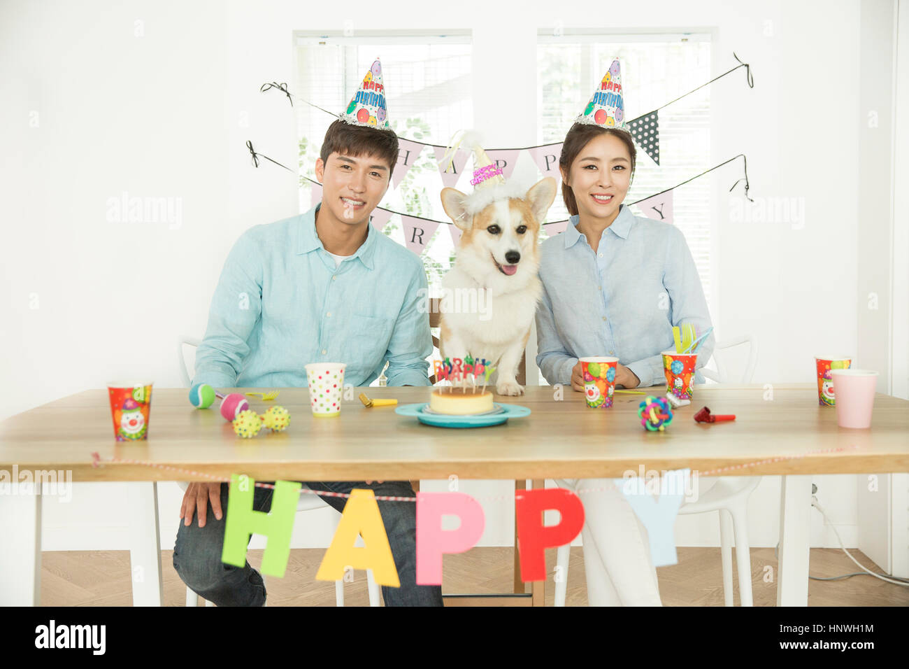 Birthday pet hi-res stock photography and images - Alamy