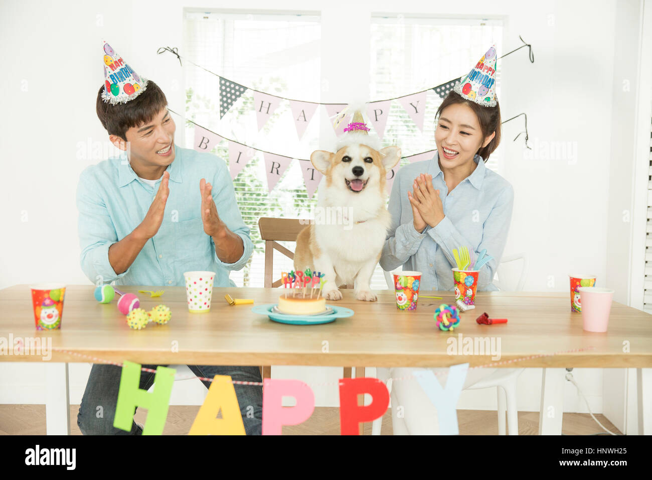 Birthday celebration with pets hi-res stock photography and images - Alamy