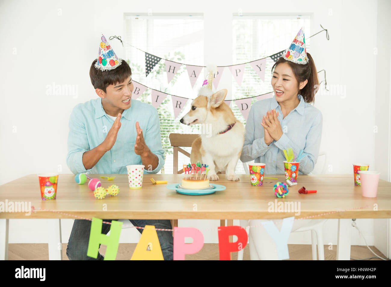 Clapping dog hi-res stock photography and images - Alamy