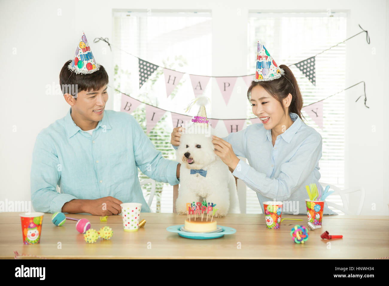Young smiling couple celebrating pet's birthday Stock Photo - Alamy