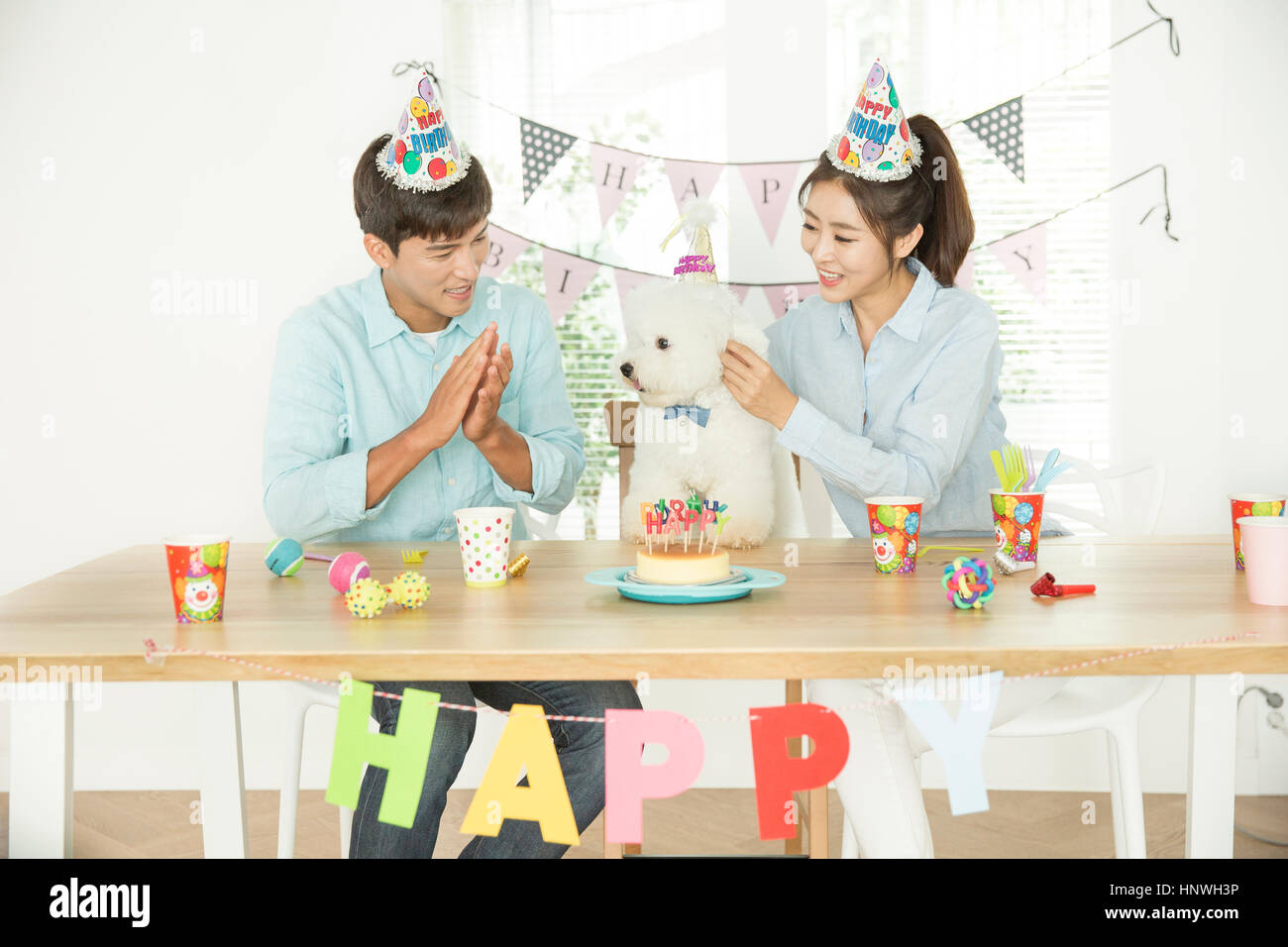 Birthday celebration with pets hi-res stock photography and images - Alamy