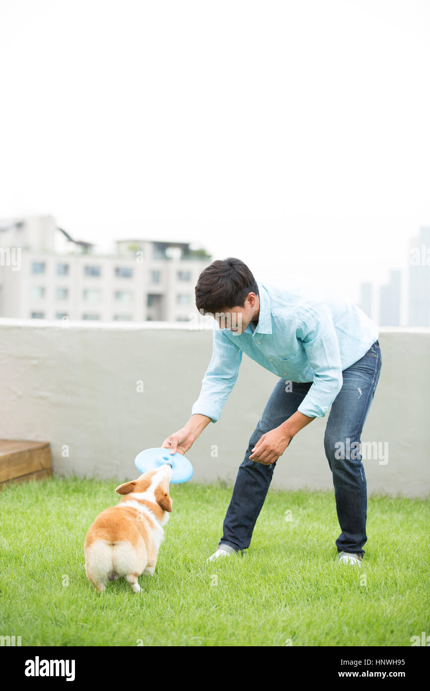 Man training his pet dog Stock Photo - Alamy