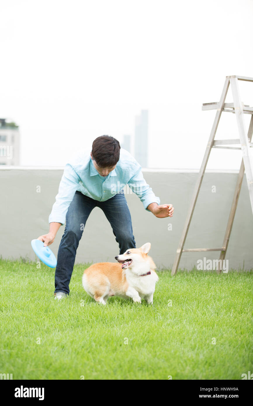 Training dog front hi-res stock photography and images - Alamy