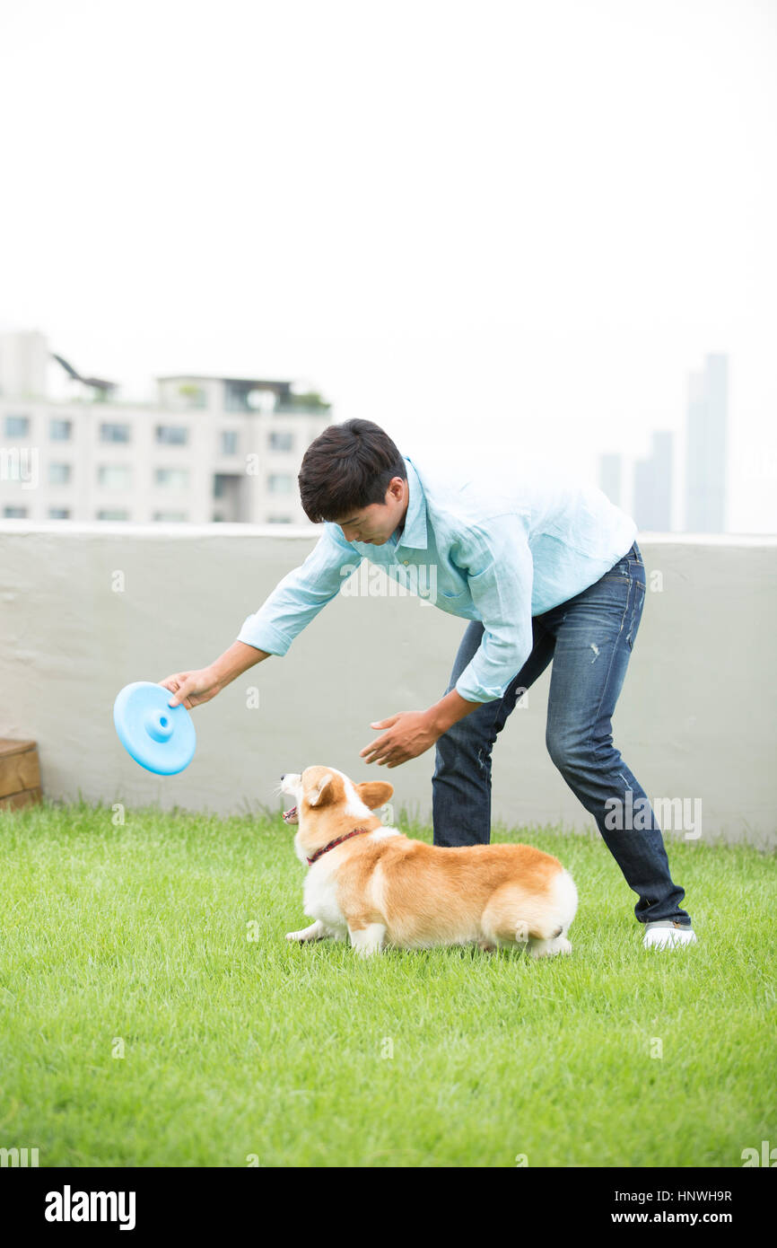 Man training his pet dog Stock Photo - Alamy