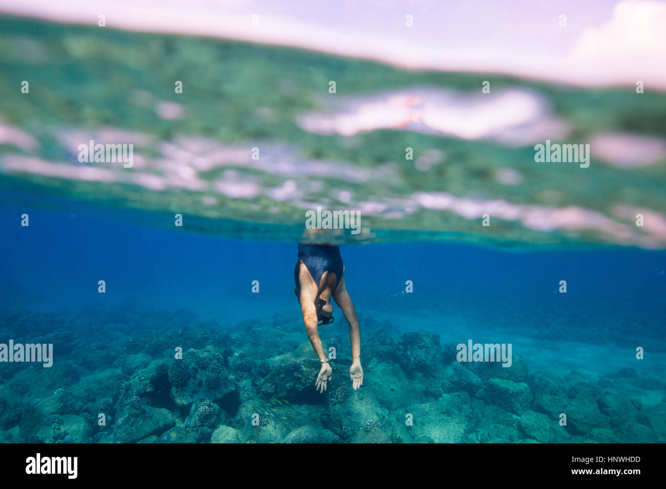 Underwater view of woman diving into water, Oahu, Hawaii, USA Stock ...