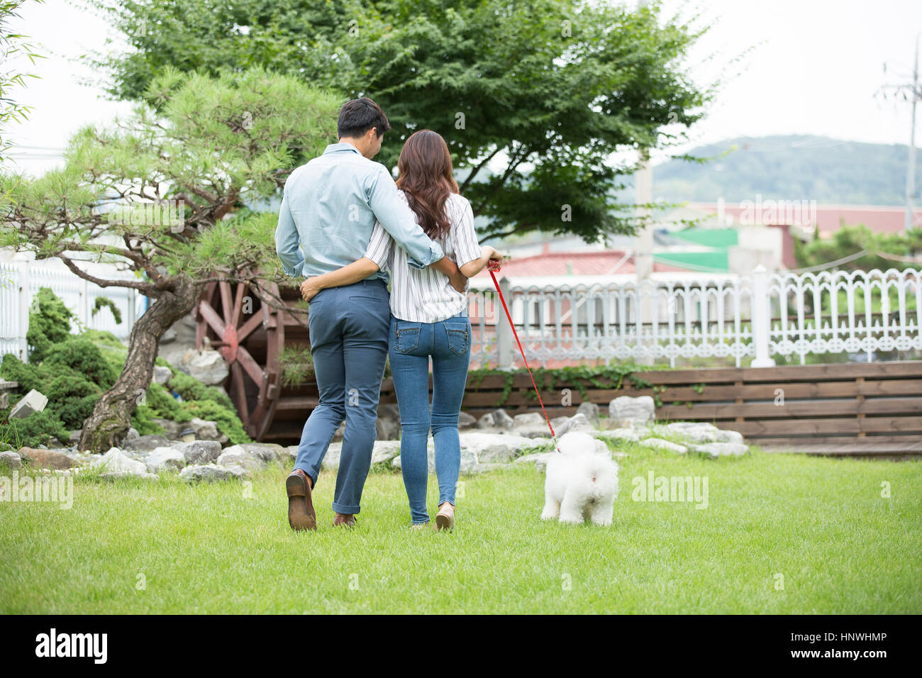 Cute loving family pet hi-res stock photography and images - Alamy