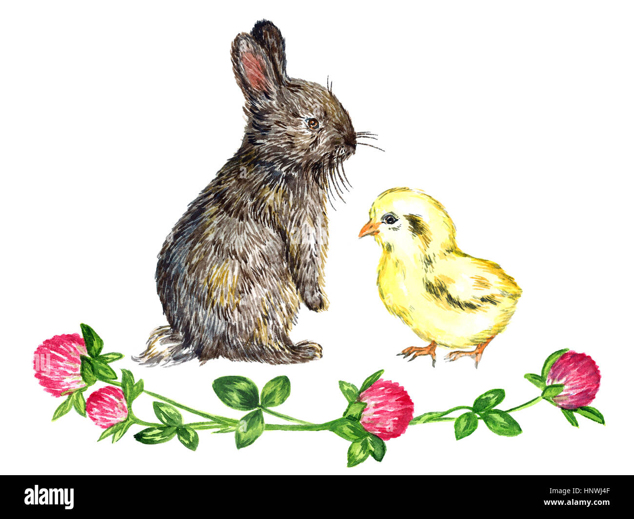 Gray fluffy hare (rabbit) and small yellow chick with clover flowers ...