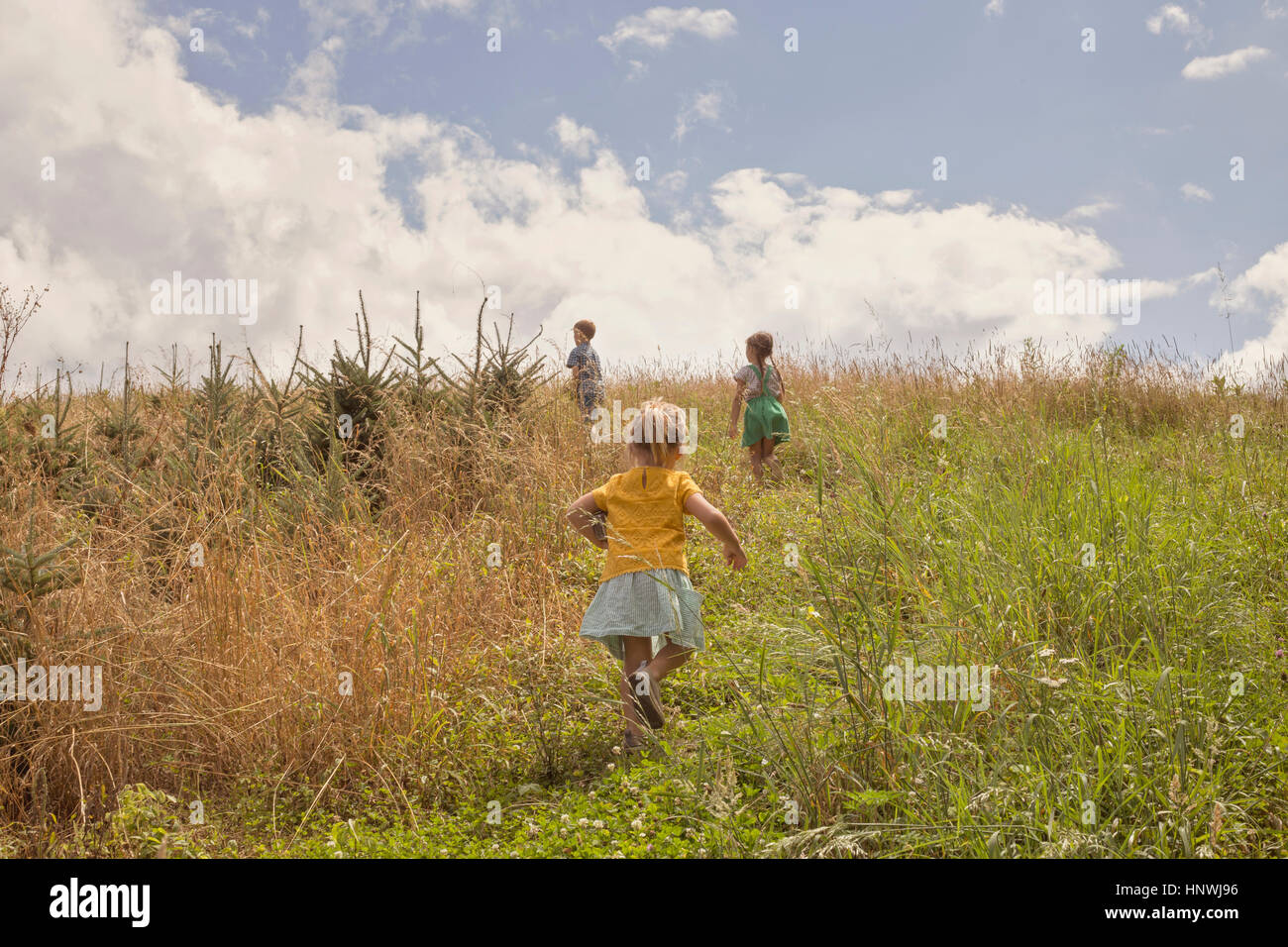 Exploring outdoors hi-res stock photography and images - Alamy