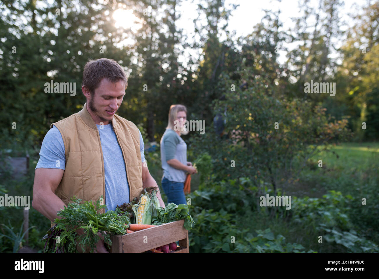 Picking crops hi-res stock photography and images - Alamy