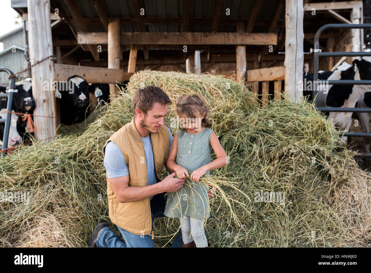 Child parent people cow hi-res stock photography and images - Alamy
