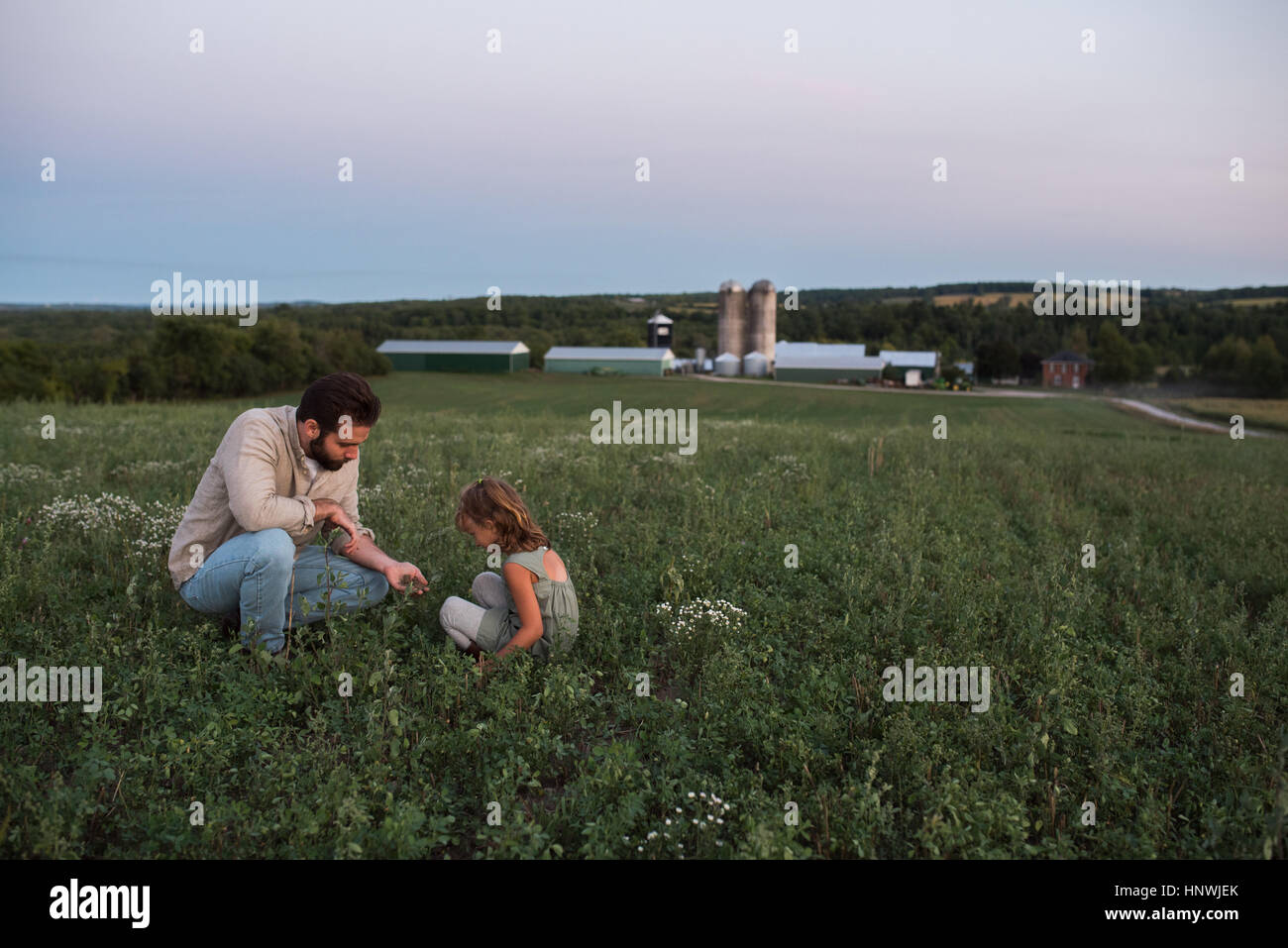 Father and daughter on farm, tending to crops Stock Photo - Alamy