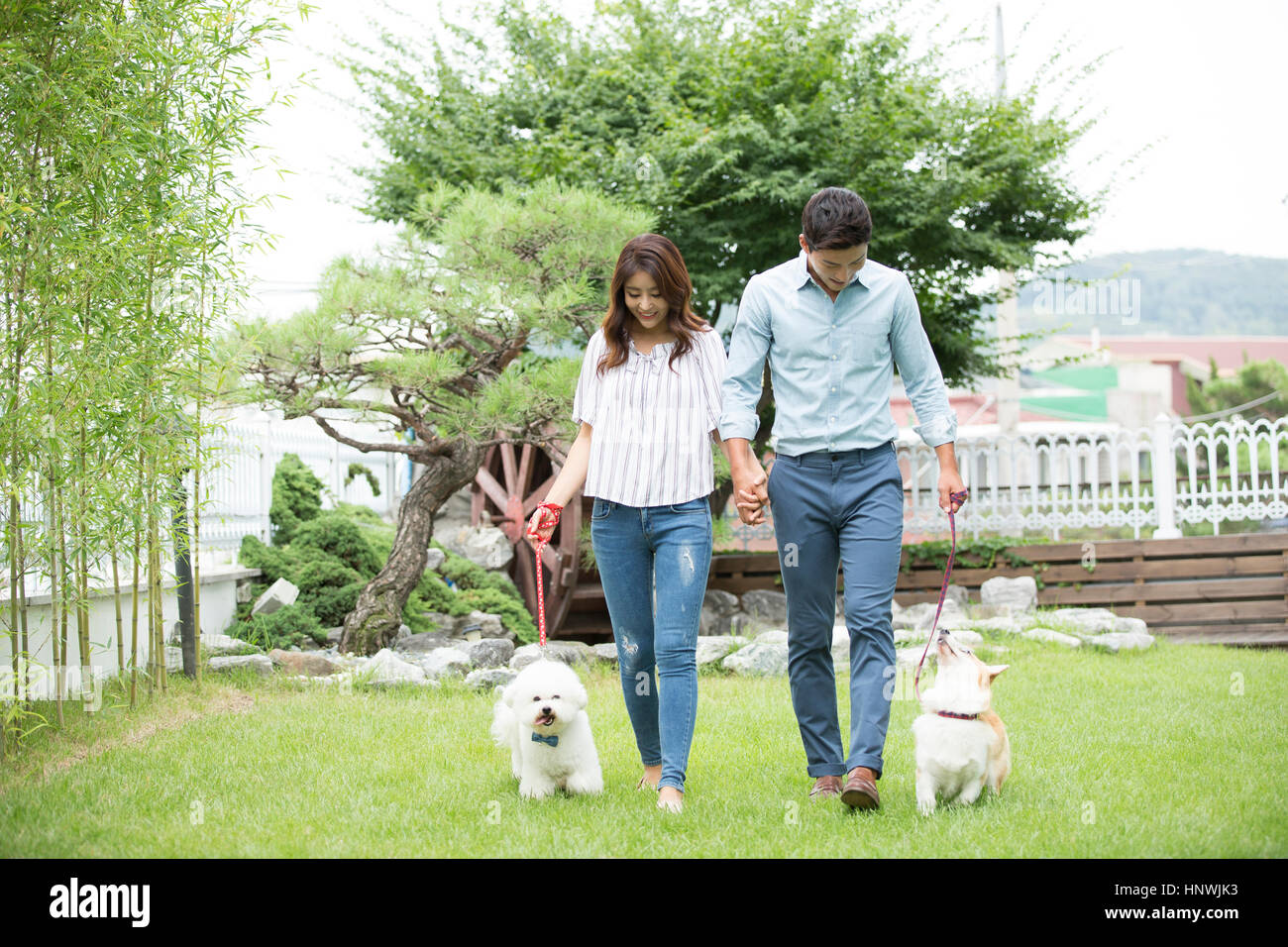Young couple walking pet dogs Stock Photo - Alamy